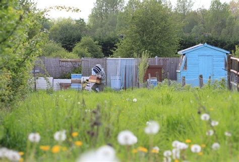 Beccy Bowden On Linkedin Philanthropy Community