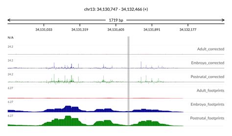Having Issue With Ploting Track · Issue 200 · Loosolabtobias · Github