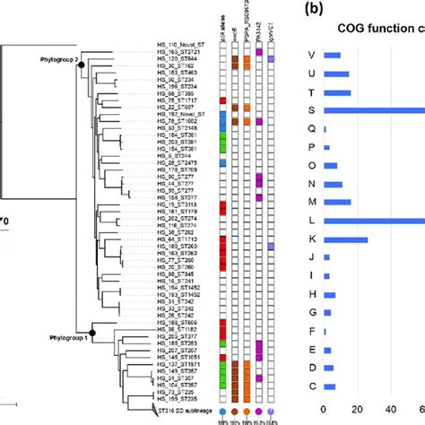 A Population Structure Of 199 P Aeruginosa Ear Swab Isolates And B