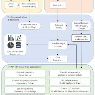 Samples Collection Processing Storage And Shipment Workflow Consent