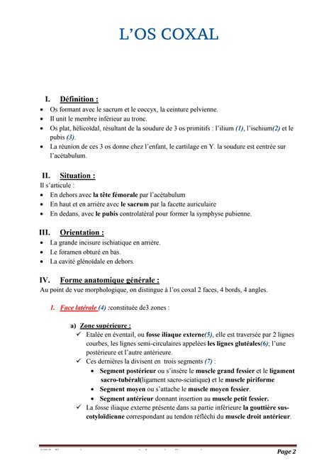 SOLUTION Anatomie Du Membre Inferieur Osteologie Studypool