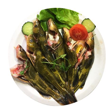 嘎鱼图片名字嘎鱼图片大全大图大山谷图库