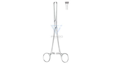 Thomas Allis Tissue Intestinal Holding Forceps 8 20cm Box Joint