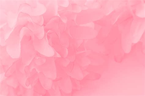 白い背景と白い花枠とオレンジの葉の背景テクスチャ花のバナーに美しい抽象的な色白とピンクの花 お祝いのストックフォトや画像を多数ご用意