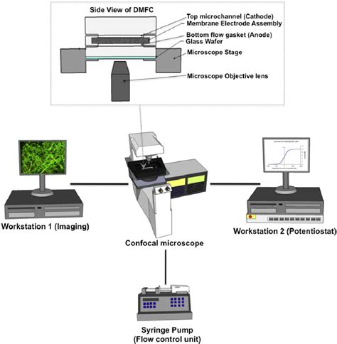 The Experimental Set Up For The Simultaneous Investigations Download