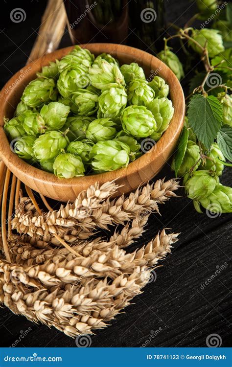 Malt And Hops Stock Image Image Of Wooden Green Brewing 78741123