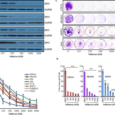 Selinexor Significantly Suppressed Growth Of Liposarcoma Cell Lines In