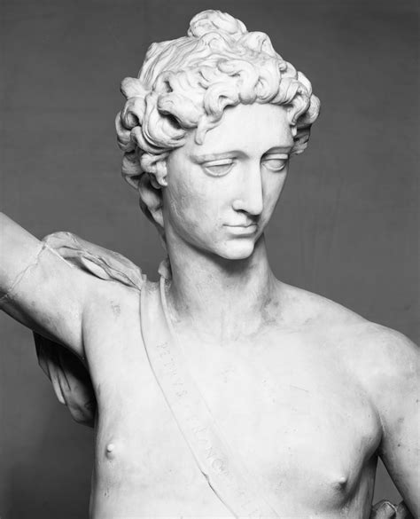 Apollo Fighting Python