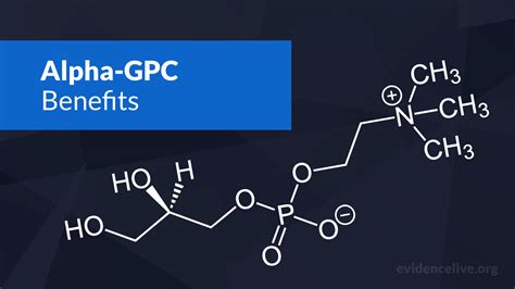 Alpha Gpc Benefits Uses Dosage And Side Effects Evidencelive