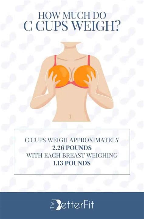 Chest Size C