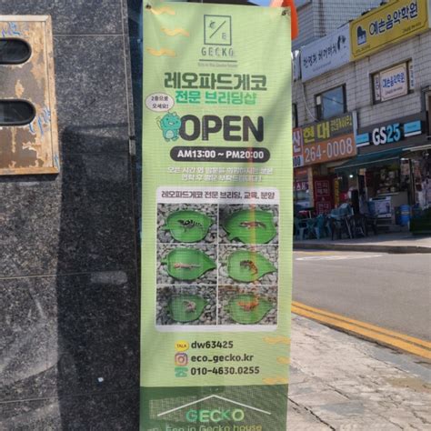 용인 레오파드 게코 전문샵 에코게코 방문후기 네이버 블로그