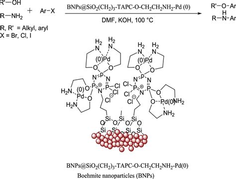 Synthesis Of Diaryl Ethers And Aryl Amines Download Scientific Diagram