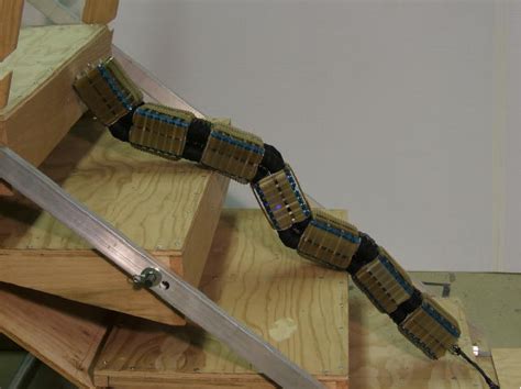 Figure 1 From Combining Learning And Evolution To Develop High Dof Robot Control Semantic Scholar