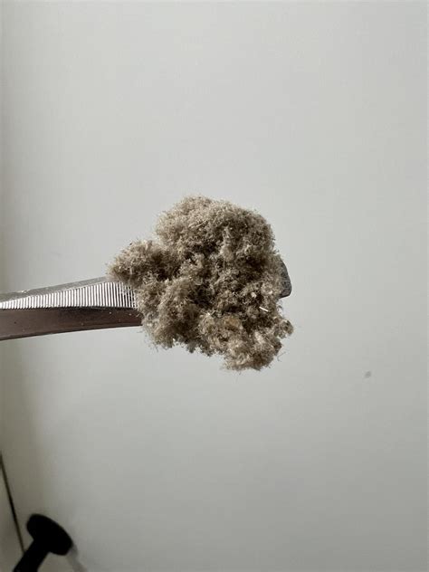 Is This Asbestos Attic Insulation From 1980 Home Rasbestoshelp