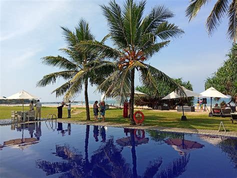 Ekho Surf 26 ̶4̶3̶ Updated 2022 Prices And Hotel Reviews Bentota