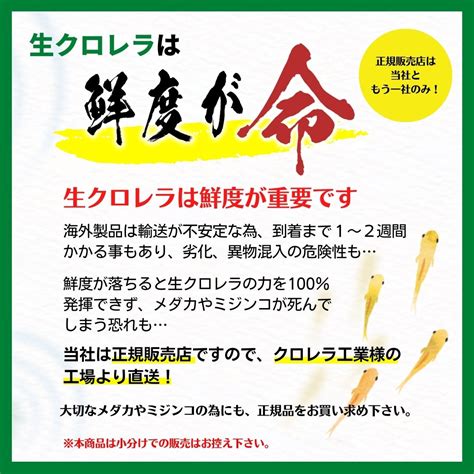 楽天市場クロレラ工業生クロレラ V12 1L工場直送 他商品と同梱不可メダカ めだか ゾウリムシ ミジンコ PSB への使用がお