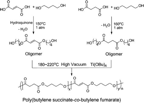 Polybutylene Succinate Alchetron The Free Social Encyclopedia