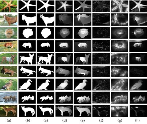 Qualitative Comparison Of The Salience Results Of Our Model With Those Download Scientific