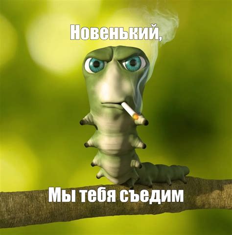 Создать мем гусеница мем прикол гусеница Картинки Meme