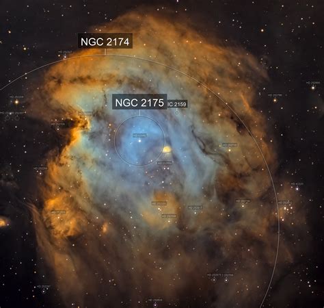 Ngc 2174 Monkey Head Nebula S H O Kyunghoon Lim Astrobin