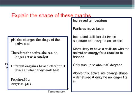Factors Affecting Enzyme Activityfgippt