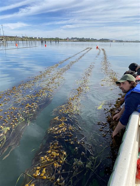 Aquaculture Matters