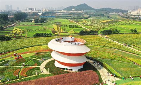 崛起中的世界一流科学城是什么样深圳光明区十四五规划公布 澎湃号政务 澎湃新闻 The Paper