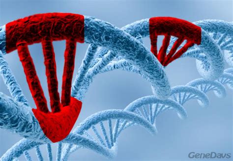 Mutaciones En Biología