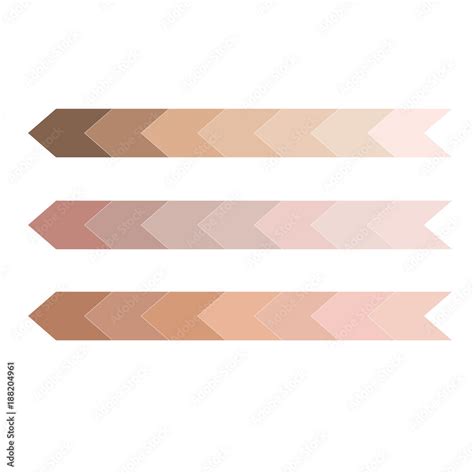 Skin Tone Color Infographic Dark To Light Chart Tones Vector
