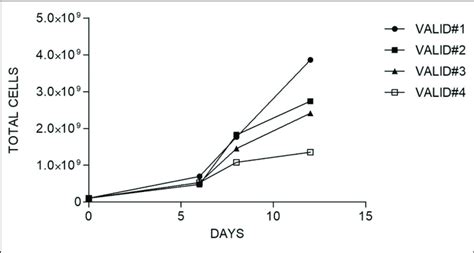 Fold Expansion Of Cells Along The Time In Each Manufacturing