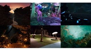 Multi Sensory XR From Mushrooms To Sex PPT