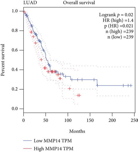 The Distinct Upregulation Of Mmp14 And Its Clinical Significance In