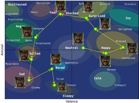 論文レビュー Xtrace A Facial Expressive Behaviour Analysis Tool For Continuous Affect Recognition