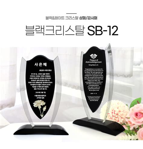 Sb 12화이트조립 블랙크리스탈 아이상패
