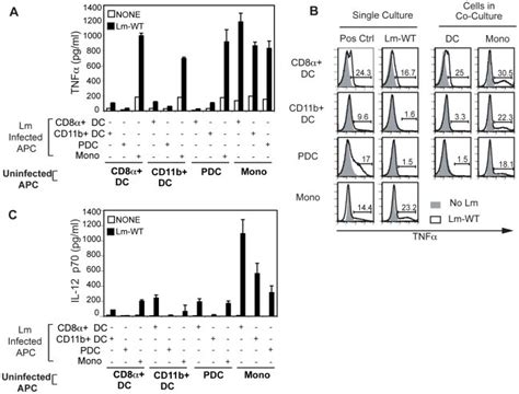 Sorted Apcs Were Infected With Lm Wt And Incubated Overnight In Download Scientific Diagram