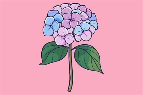 Hortensia Set Afbeeldingen Gratis Downloaden Op Freepik