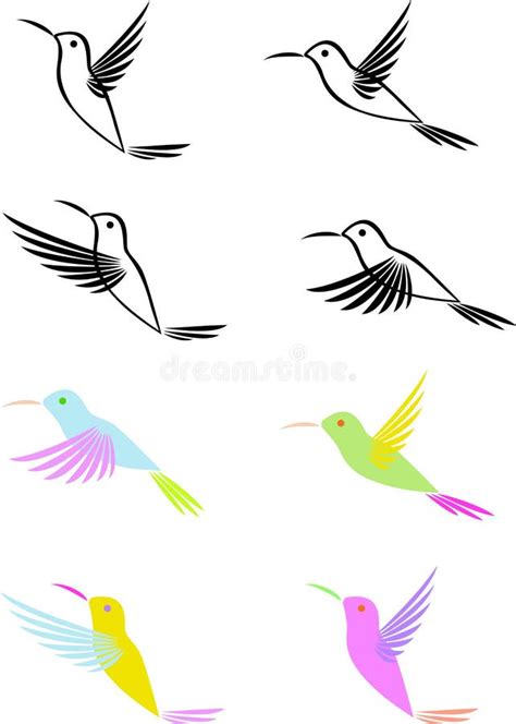 Vector Set With Flying Hummingbird Or Colibri In Contour Style Isolated