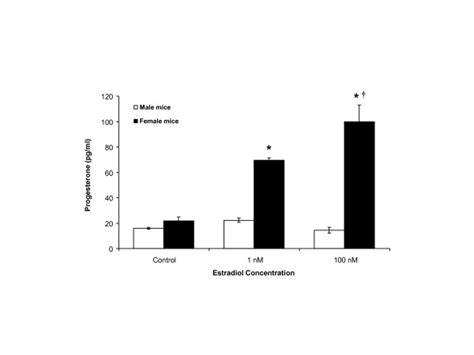 Sex Differences In Estradiol Stimulated Progesterone Synthesis In Adult