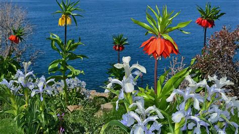 Cemre Ne Zaman Düşecek