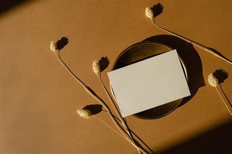 Premium Photo Paper Card Sheet With Blank Copy Space And Dried Rabbit
