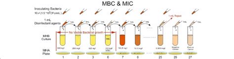 A Serial Dilution Method For Assessment Of Microplastic
