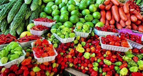 Interest Subsidy On Agro Processing Sector Subsidy Guru