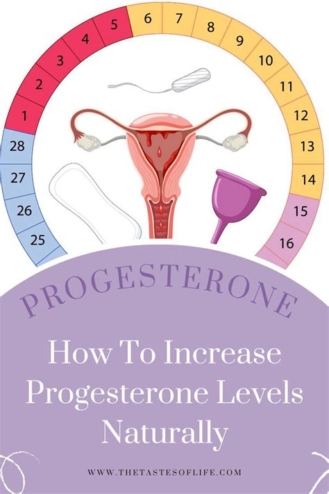 How To Increase Progesterone Levels Naturally Artofit