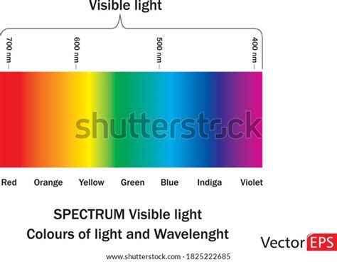 Visible Light Diagram Color Electromagnetic Spectrum Stock Vector Royalty Free