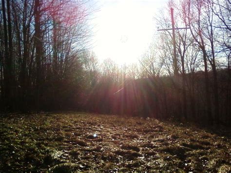 Trampled Grass Liminalspace