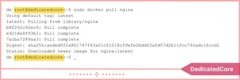 Add Ssh Into Docker Container And Debug Look 3 Options
