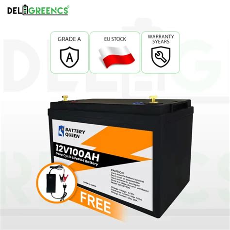 Deligreen 12v 100ah Lead Acid Battery Lifepo4 Battery Lithium Cell For