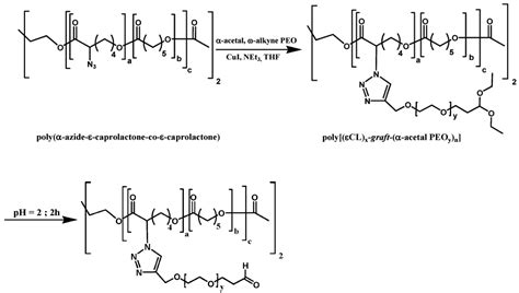 Polyε Caprolactone Based Graft Copolymers Synthesis Methods And