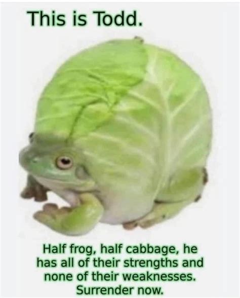 Todd Meme By Assassinmayo7 Memedroid