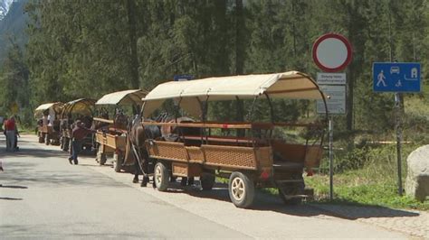 Zakopane Incydent na drodze do Morskiego Oka Nagranie obiegło sieć PolsatNews pl